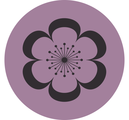 RDS Merchandise – Raley Design Studios